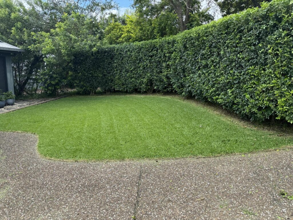 Lawn & Garden Care | Ozzy Trees & Stump Services