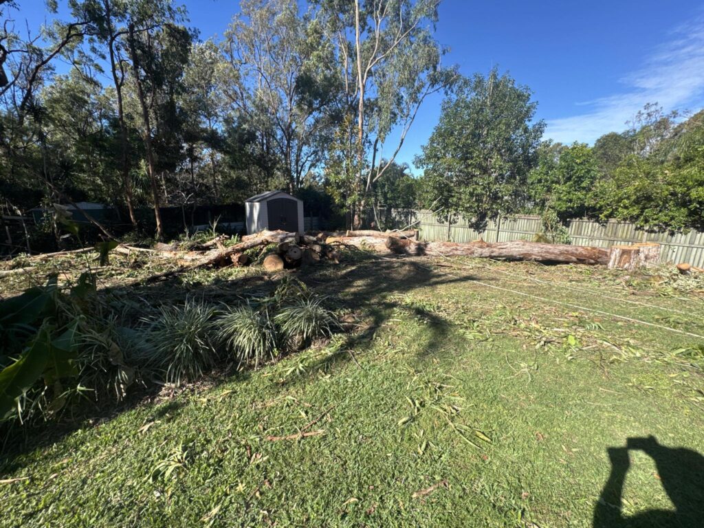 Services | Ozzy Trees & Stump Services